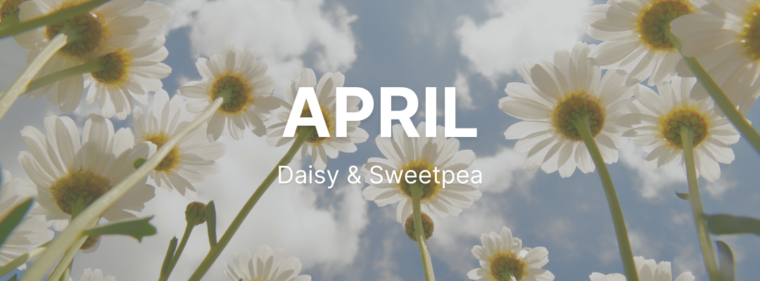 What's Your Birth Month Flower? - FlowerTalk